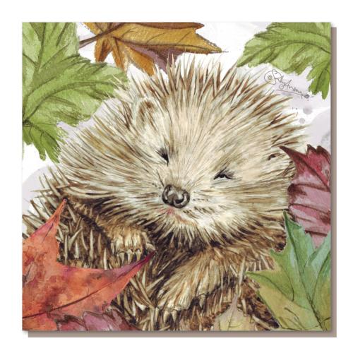 Greetings card, hedgehog